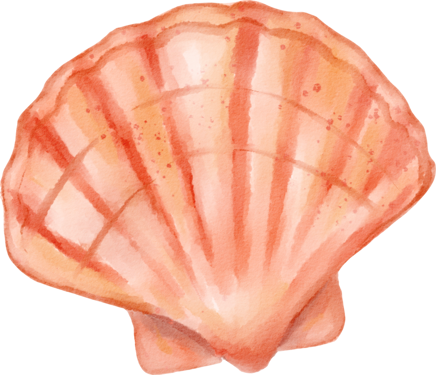 Speech Therapy Solutions